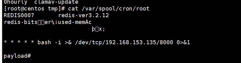 Redis未授权访问漏洞复现 | RoboTerh